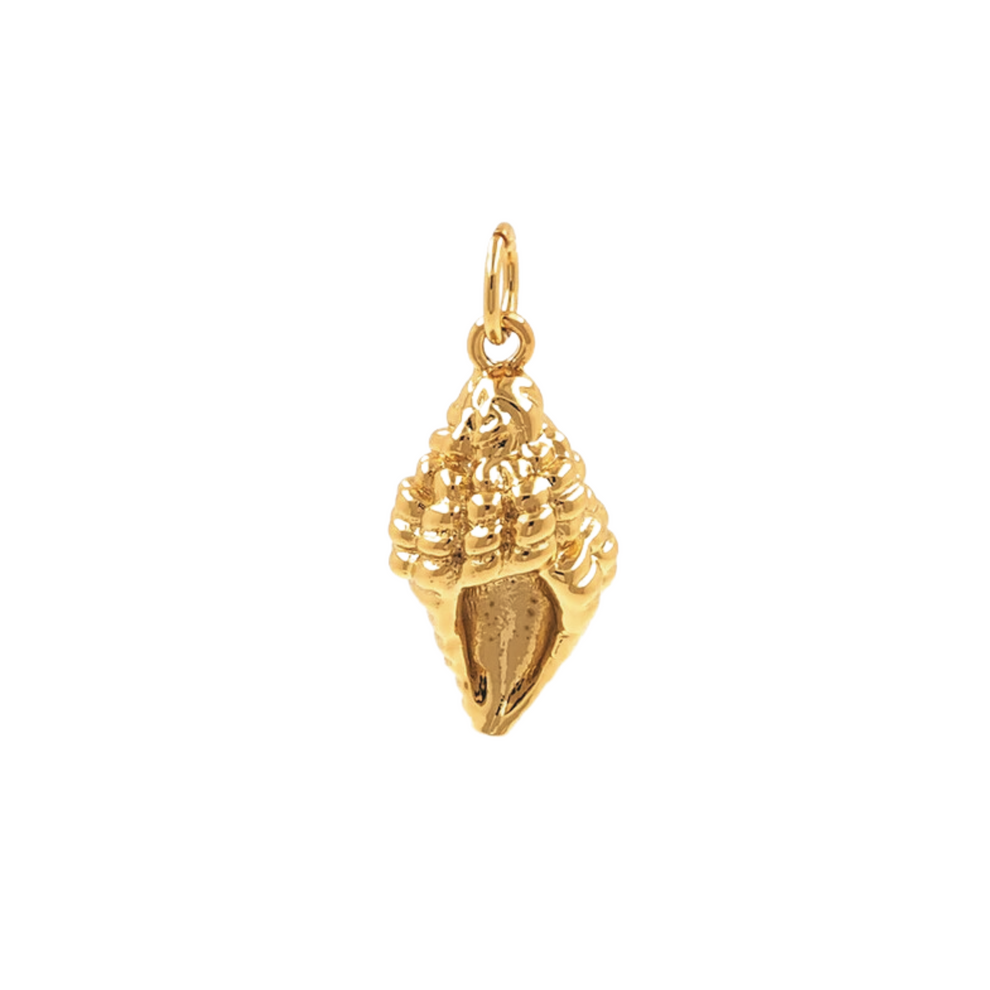 Conch Shell Charm – The Traveling Penny